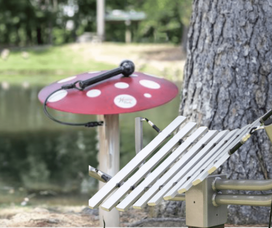 Outdoor Music Instruments for Care Homes - Rick's Heart Foundation
